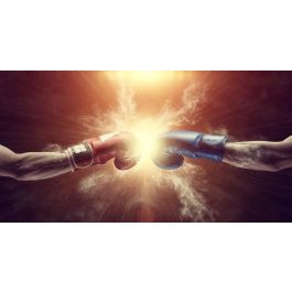 Ring Rumble Wallpaper Mural | Dynamic Boxing Arena Decor