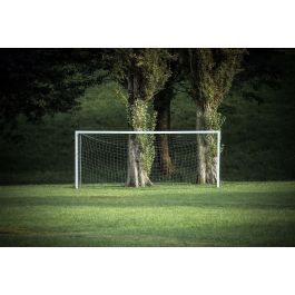 End Zone Euphoria: Football Field Wallpaper | Sports Athlete Wall Decor